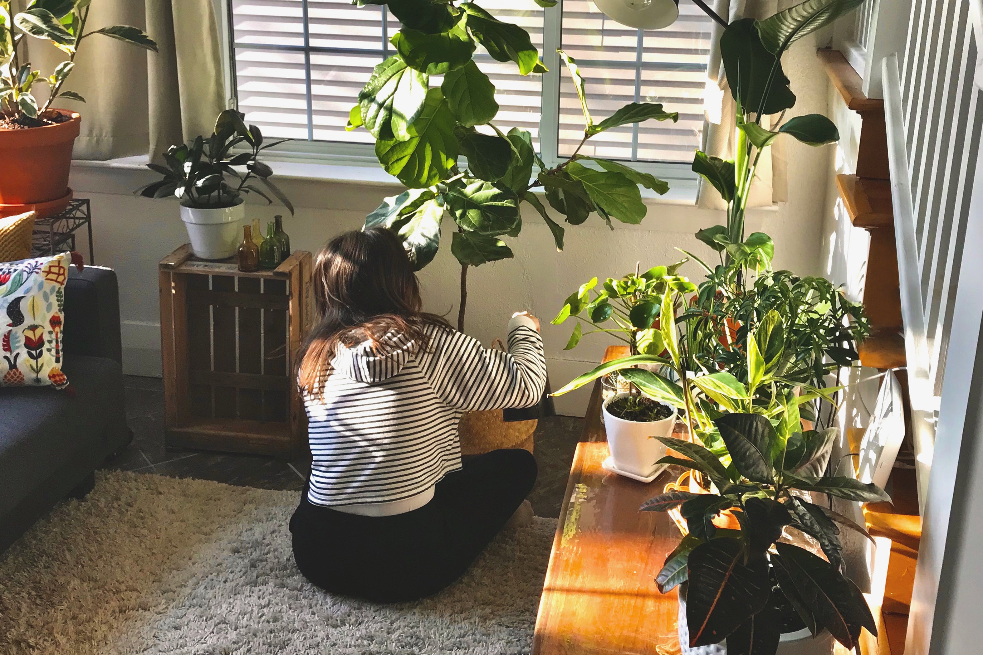 Keeping your plants happy with love & fertilizer