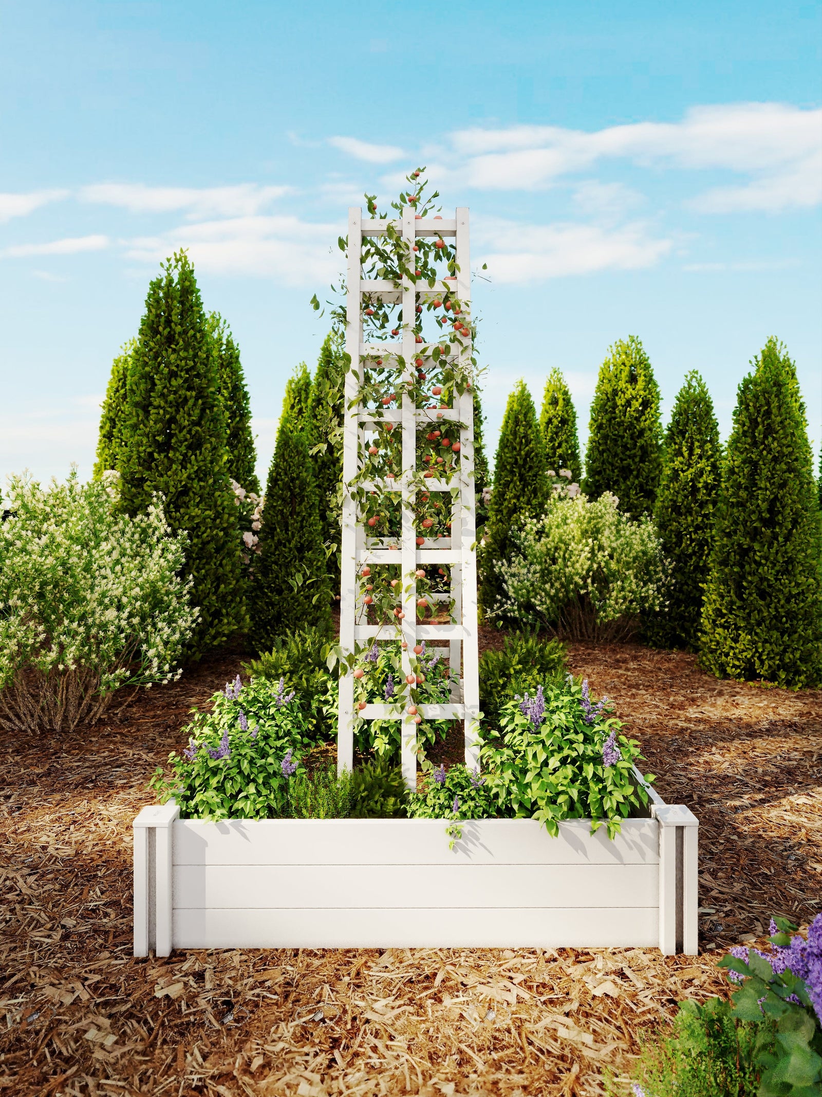CLASSIC Ladder Trellis