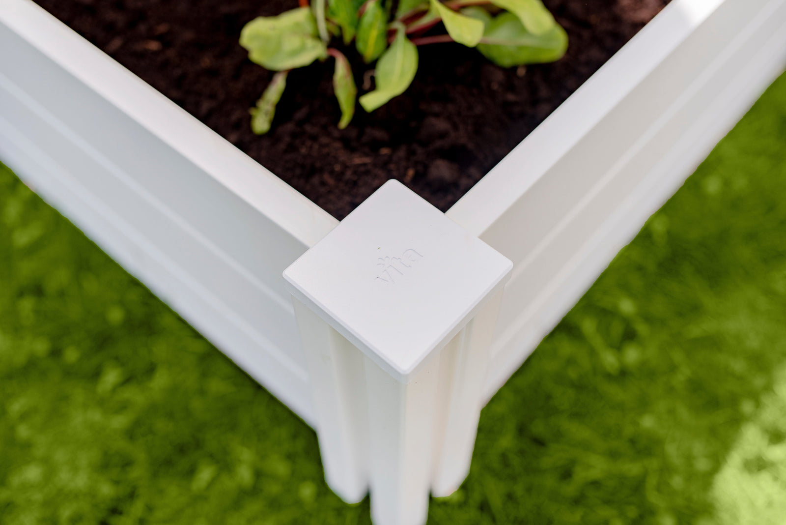 CLASSIC 4x4x11 Garden Bed