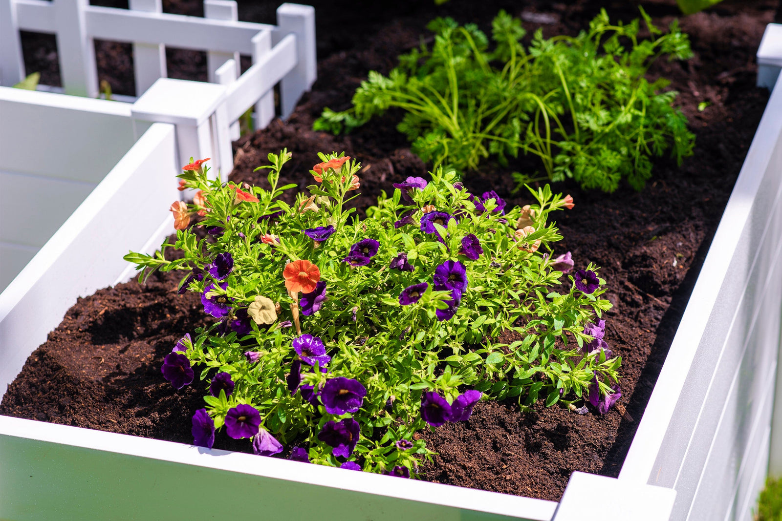 CLASSIC 6x6 Keyhole Composting Garden