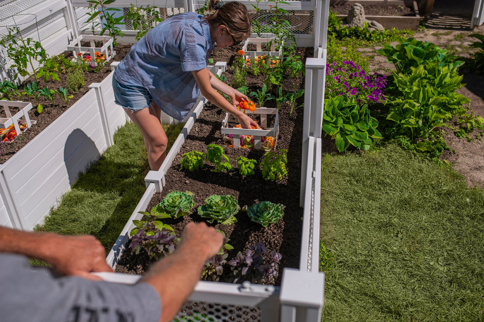 CLASSIC 8x12 Keyhole Composting Garden
