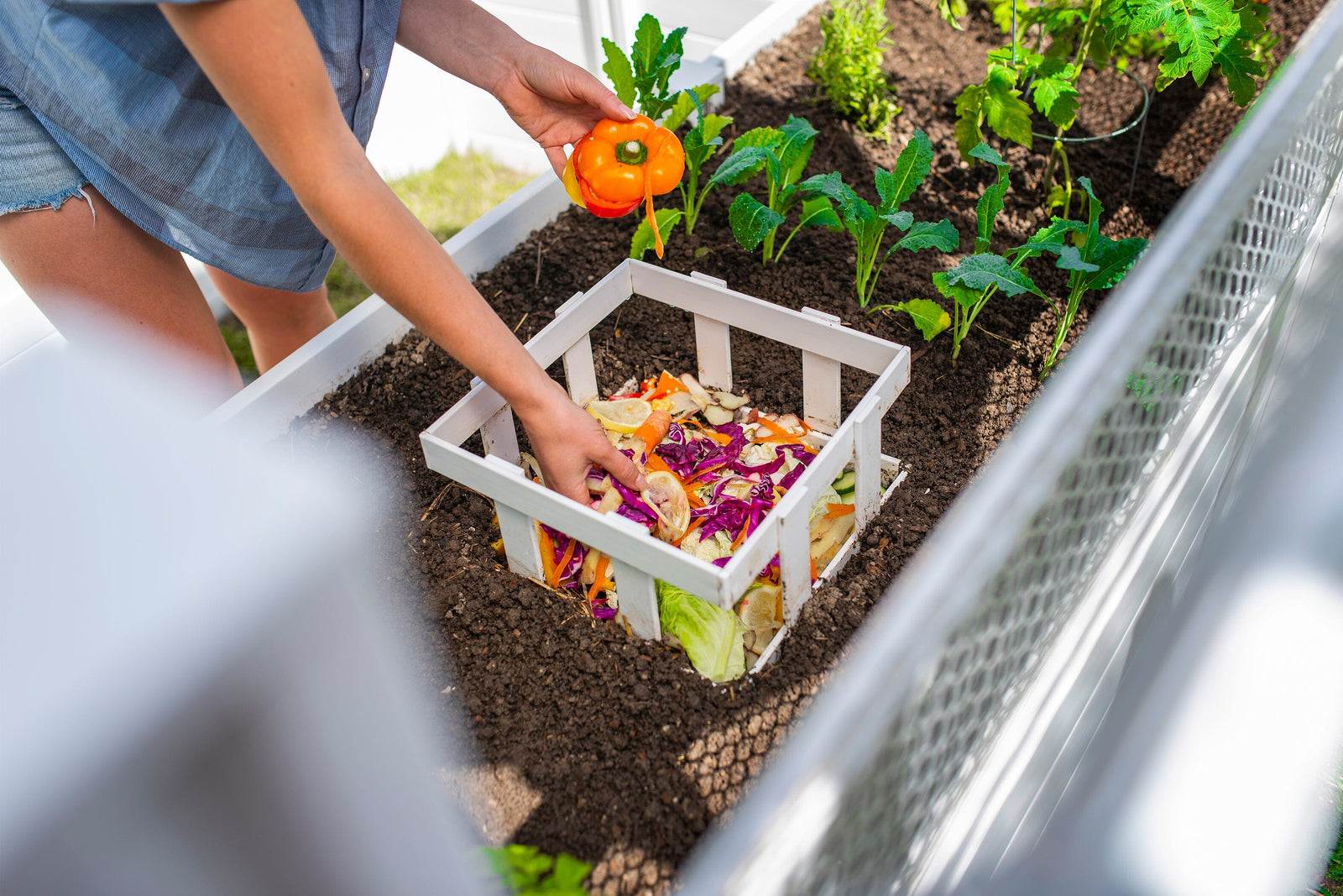CLASSIC 8x12 Keyhole Composting Garden