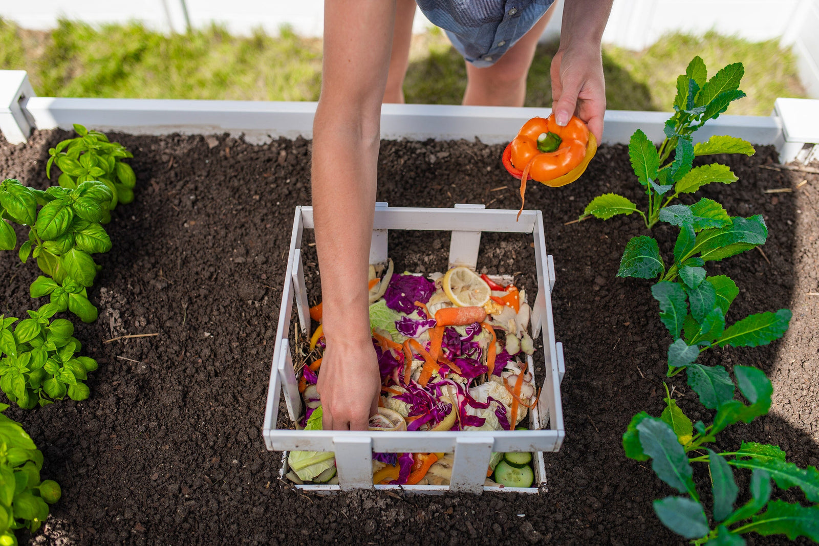 CLASSIC 8x12 Keyhole Composting Garden
