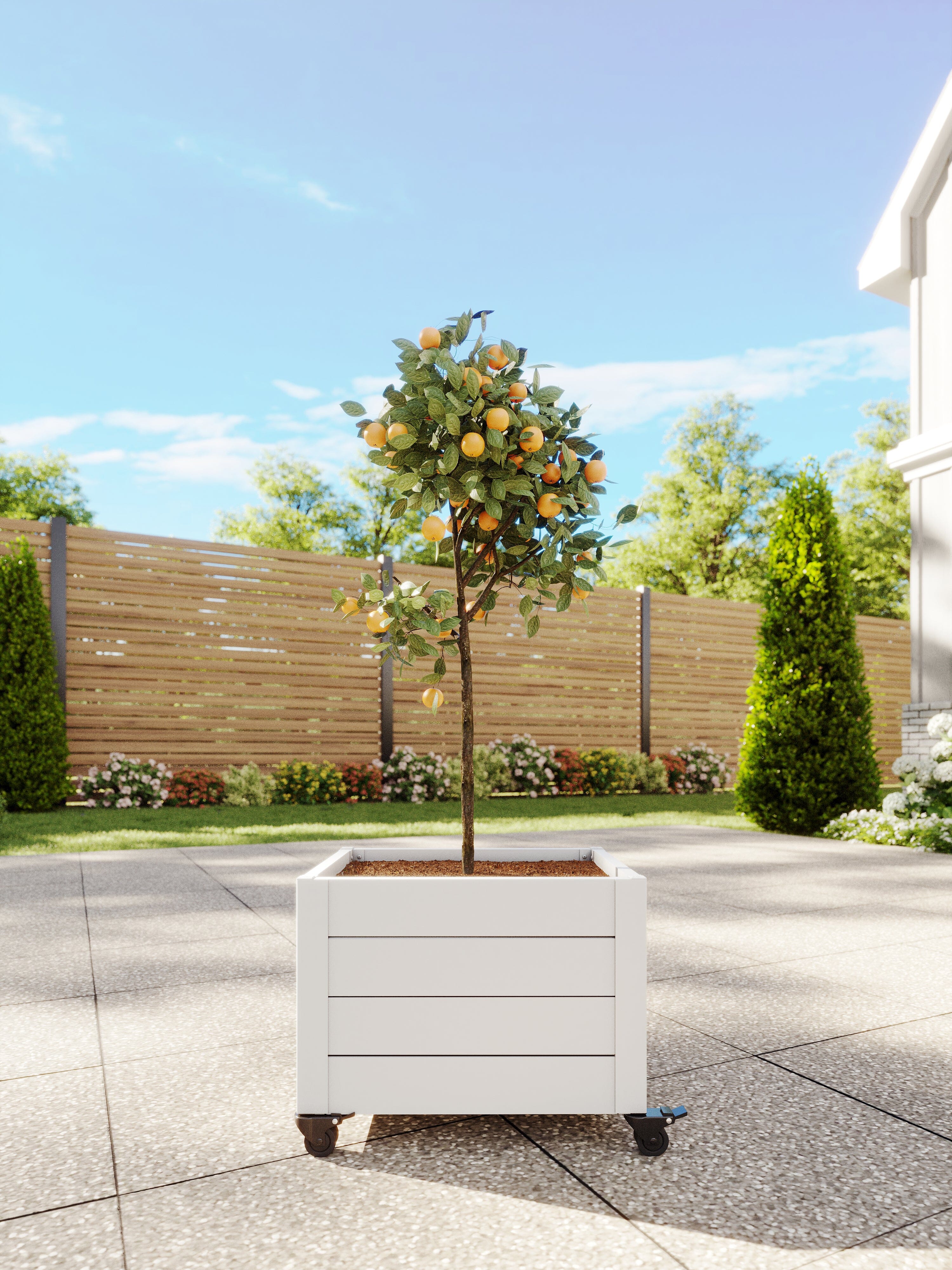 CLASSIC Rolling Planter