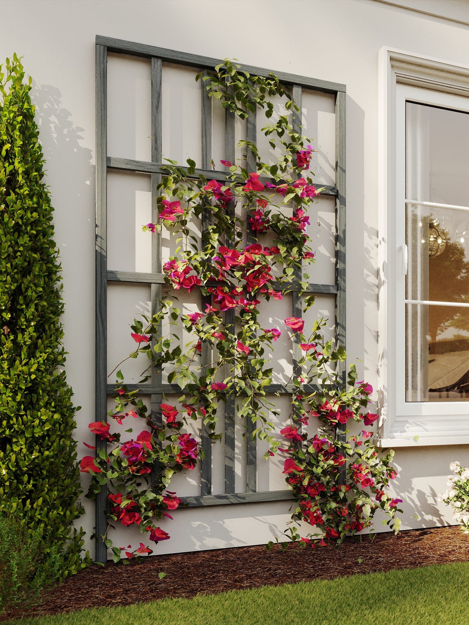URBANA Medium Modern Trellis