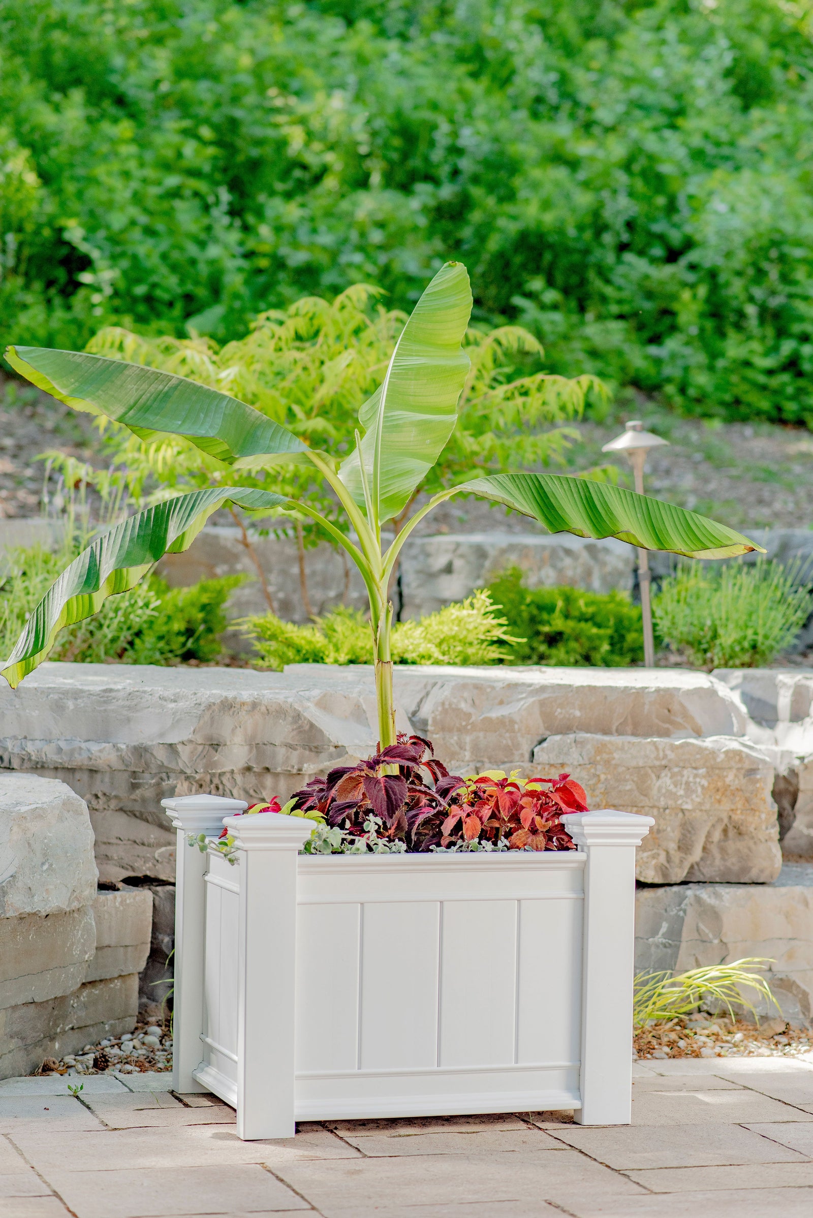 CLASSIC Barcelona Planter Box