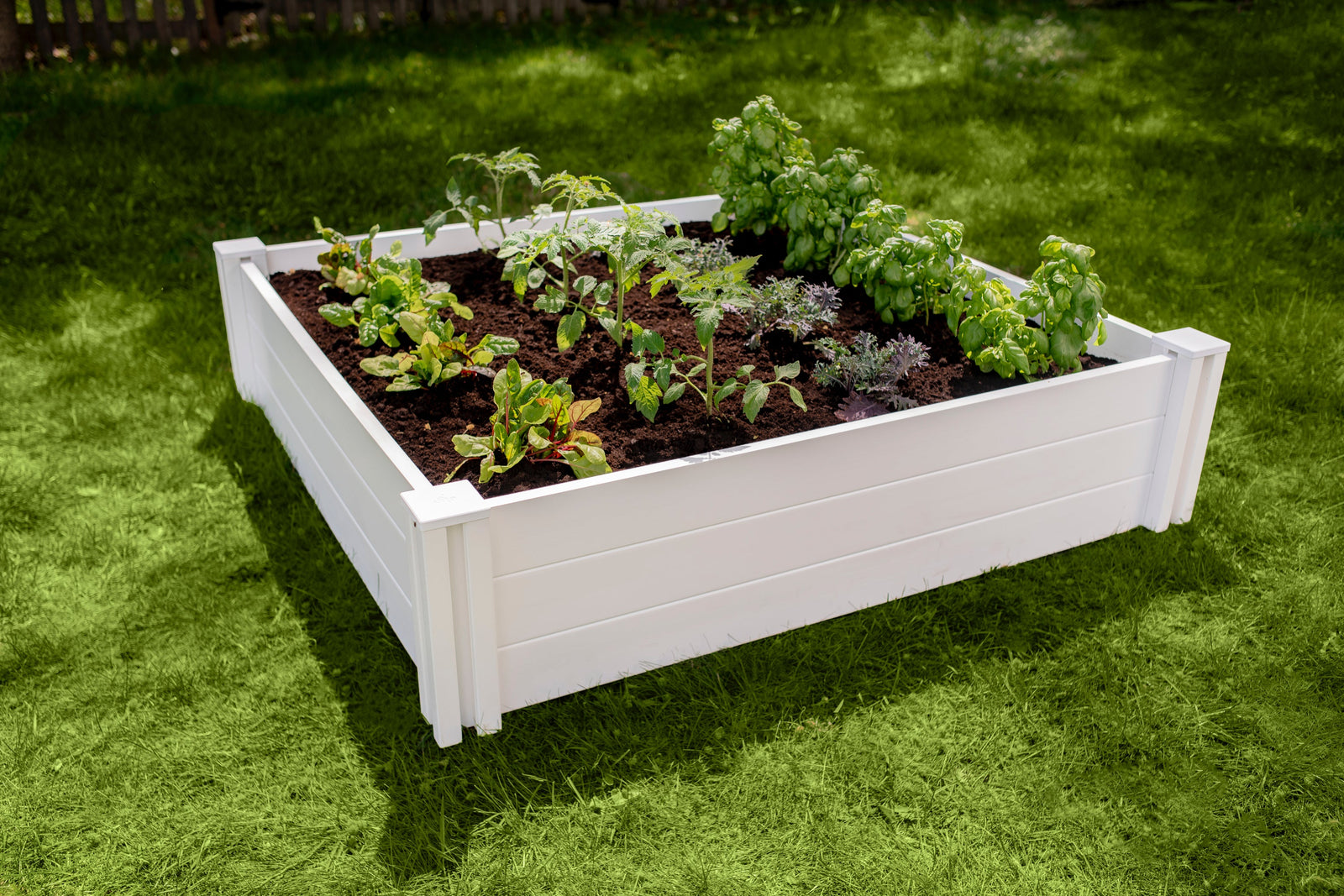 CLASSIC 4x4x11 Garden Bed