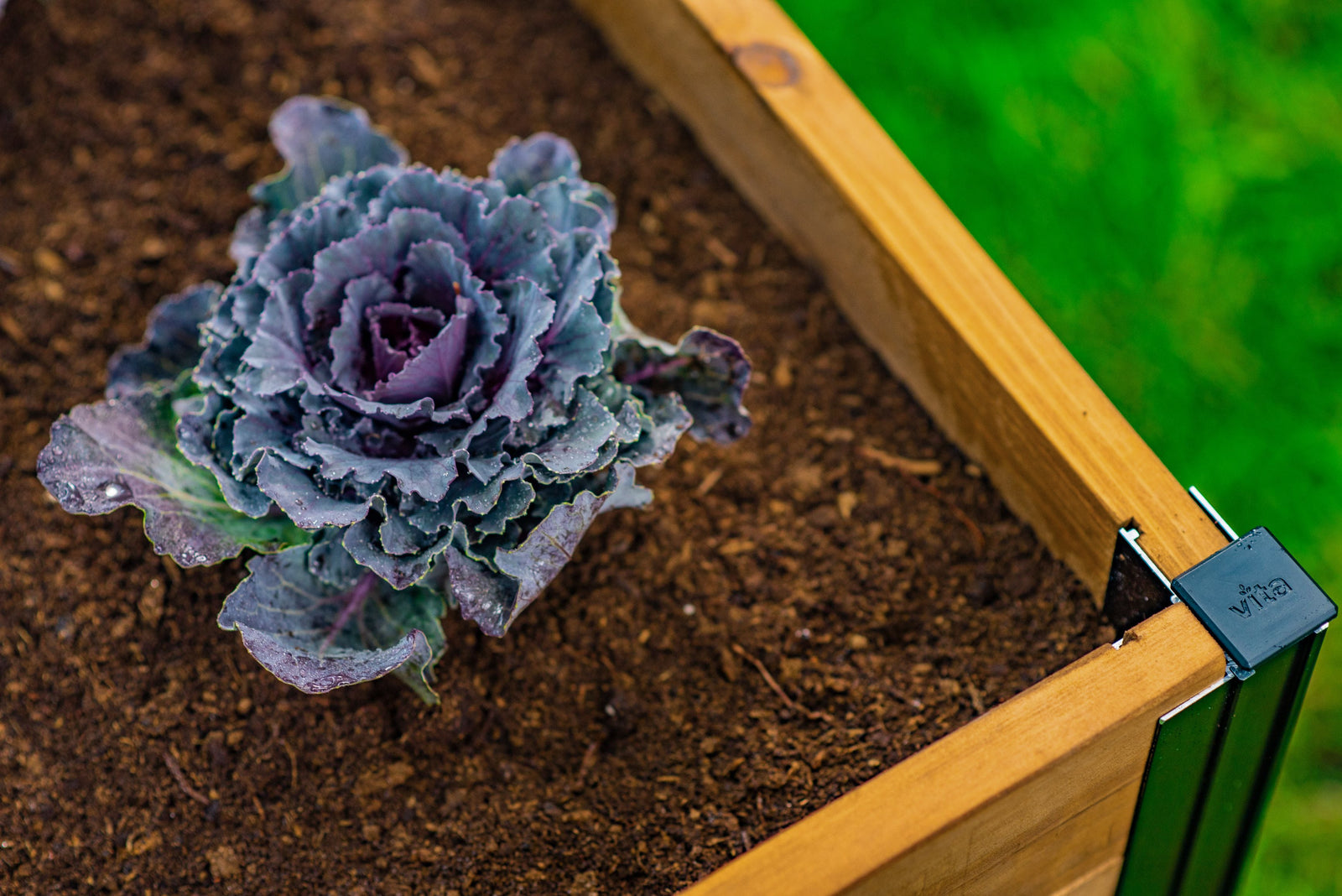 MEZZA 4x4 Keyhole Composting Garden