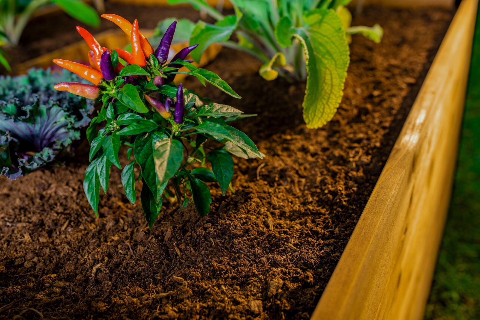 MEZZA 4x4 Keyhole Composting Garden