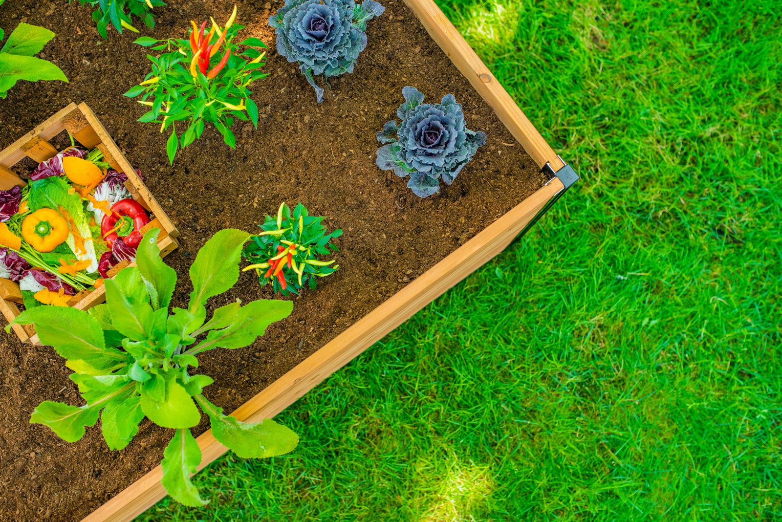 MEZZA 4x4 Keyhole Composting Garden