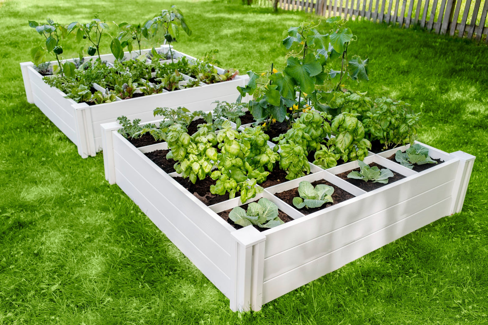 4x4x11 Garden Bed with GroGrid - 2 Pack