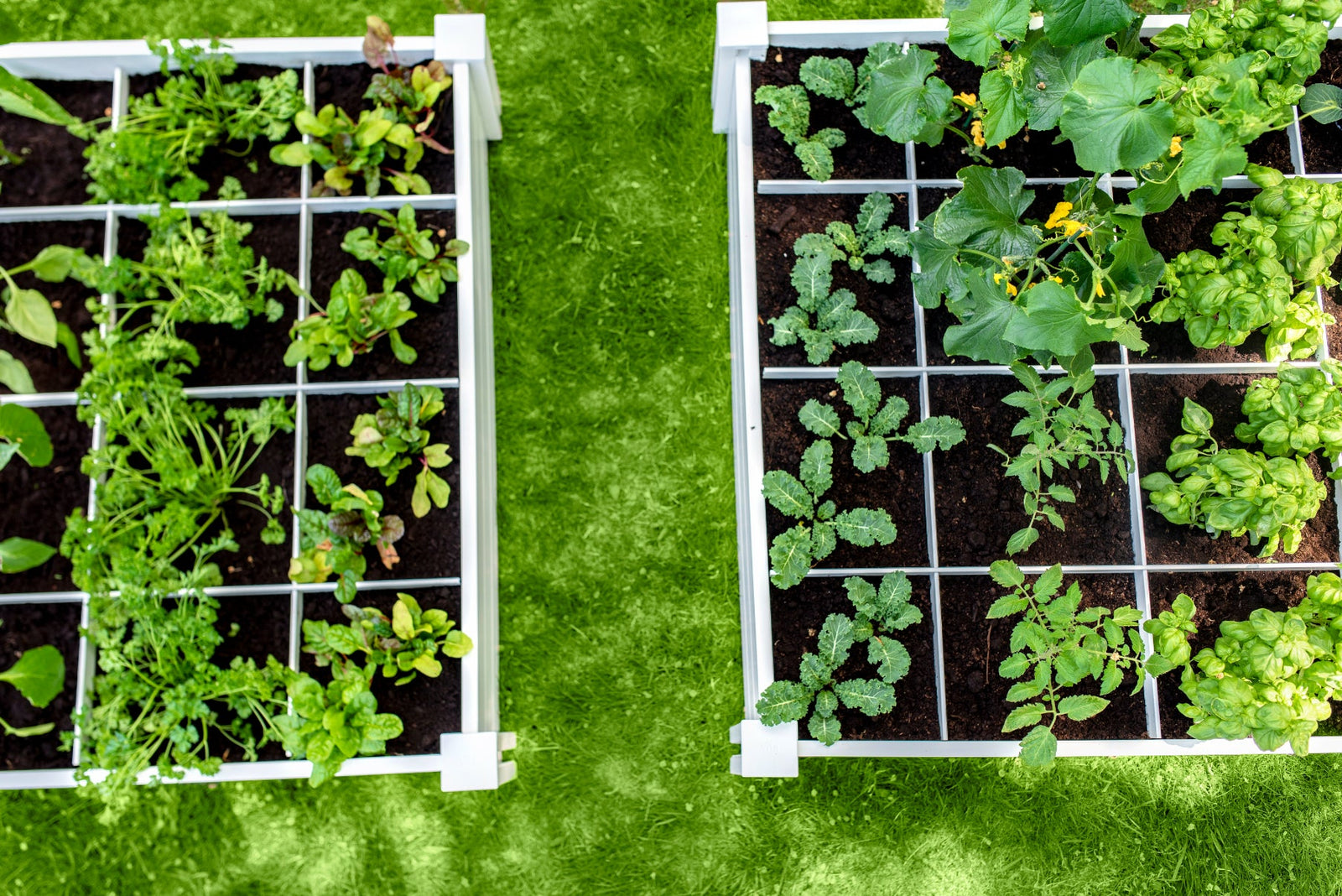 4x4x11 Garden Bed with GroGrid - 2 Pack